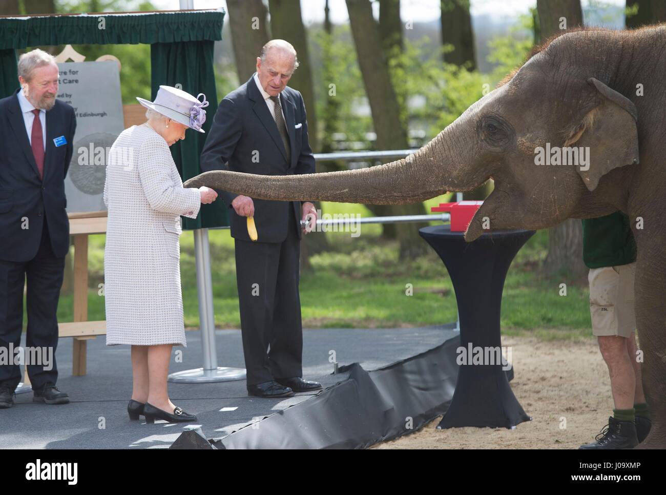 Queen Elizabeth II feeds Donner the elephant at ZSL Whipsnade Zoo ...