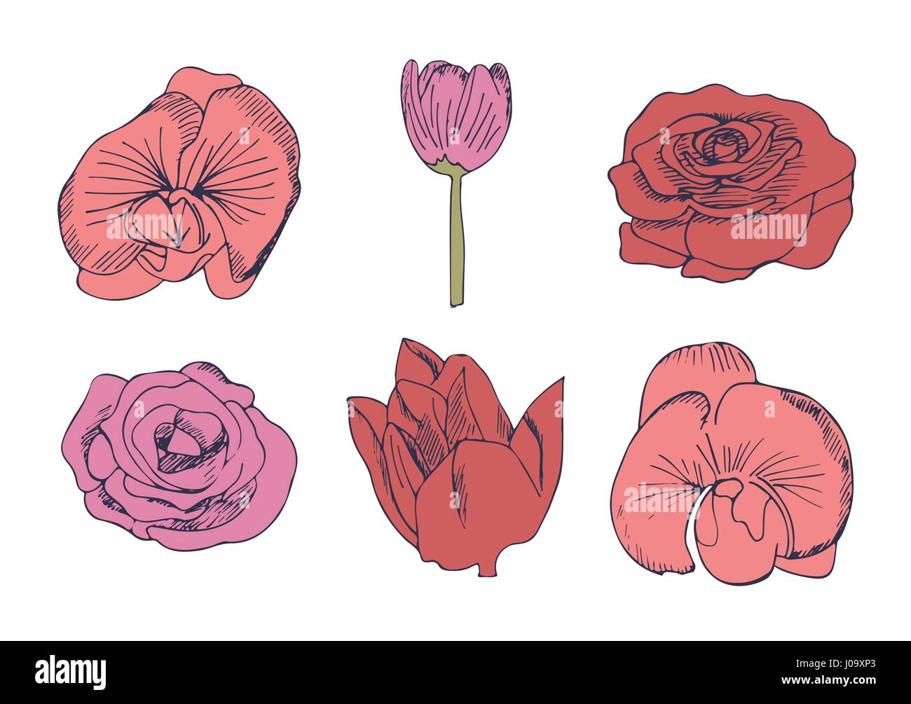 Icon flowers colorful Cut Out Stock Images & Pictures - Alamy