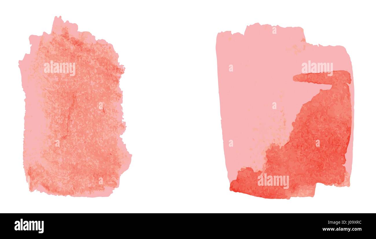 Vector set of paint brush strokes in random shapes Stock Vector Image ...