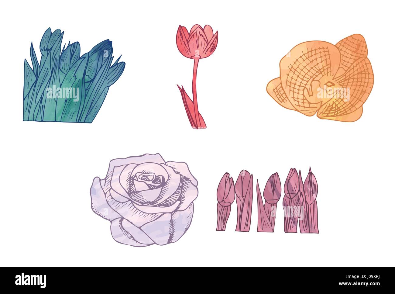 Icon flowers colorful Cut Out Stock Images & Pictures - Alamy