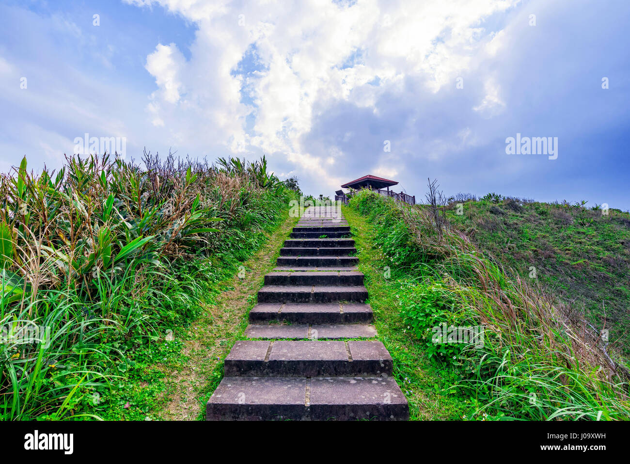 Stairs to nature hi-res stock photography and images - Alamy