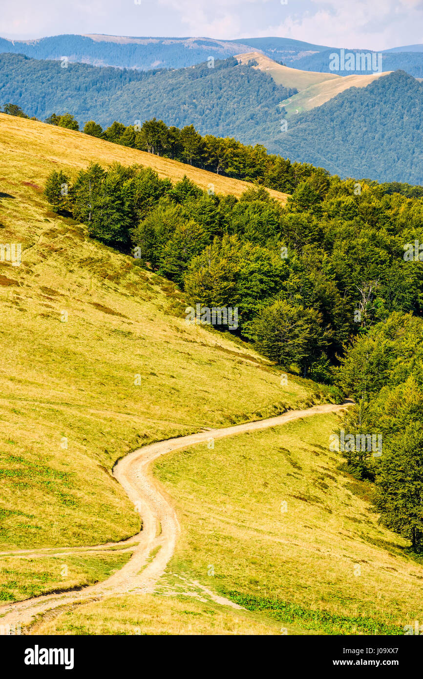 winding path through large meadows on the hillside leads in to the ...