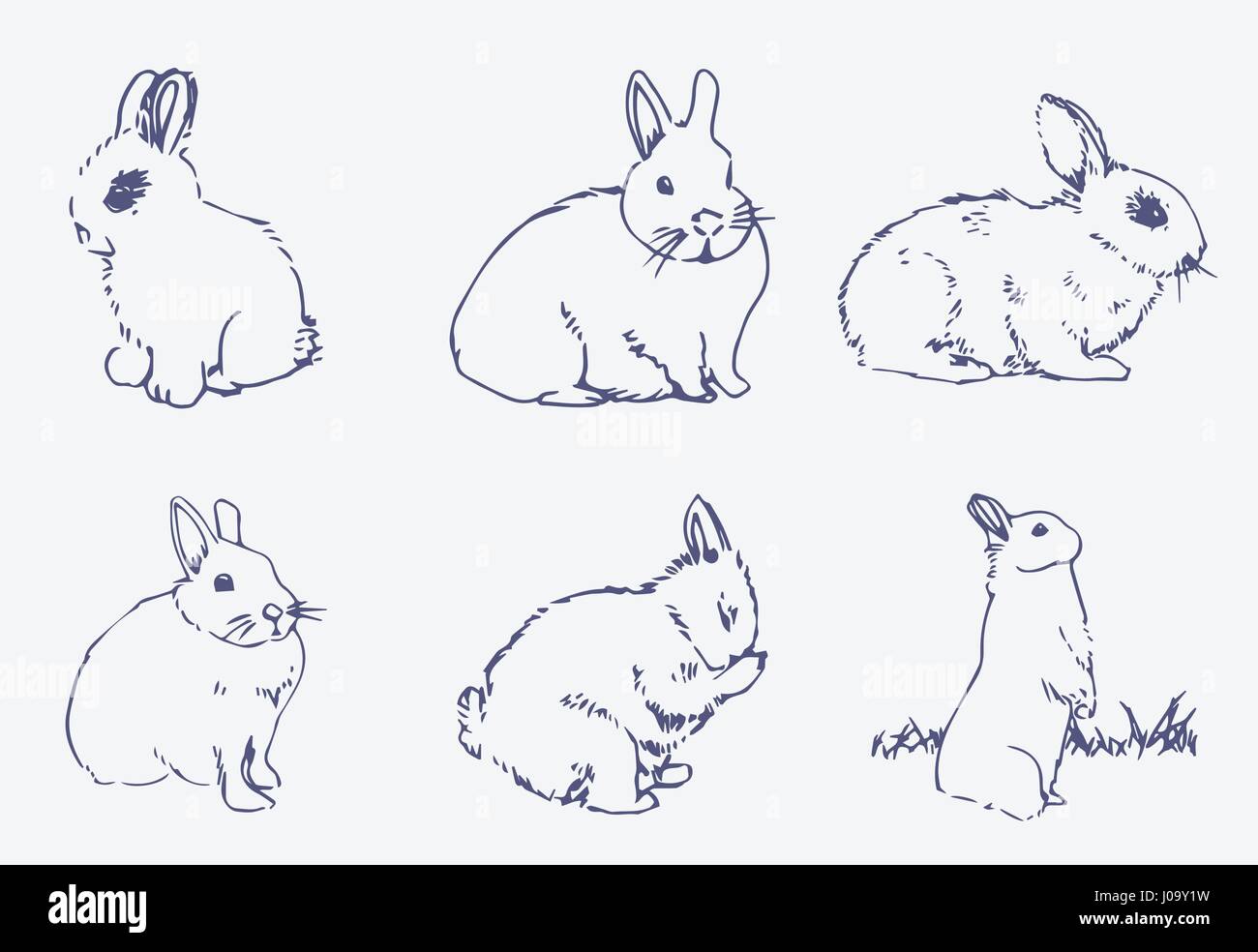 Vector set of rabbits Stock Vector Image & Art - Alamy