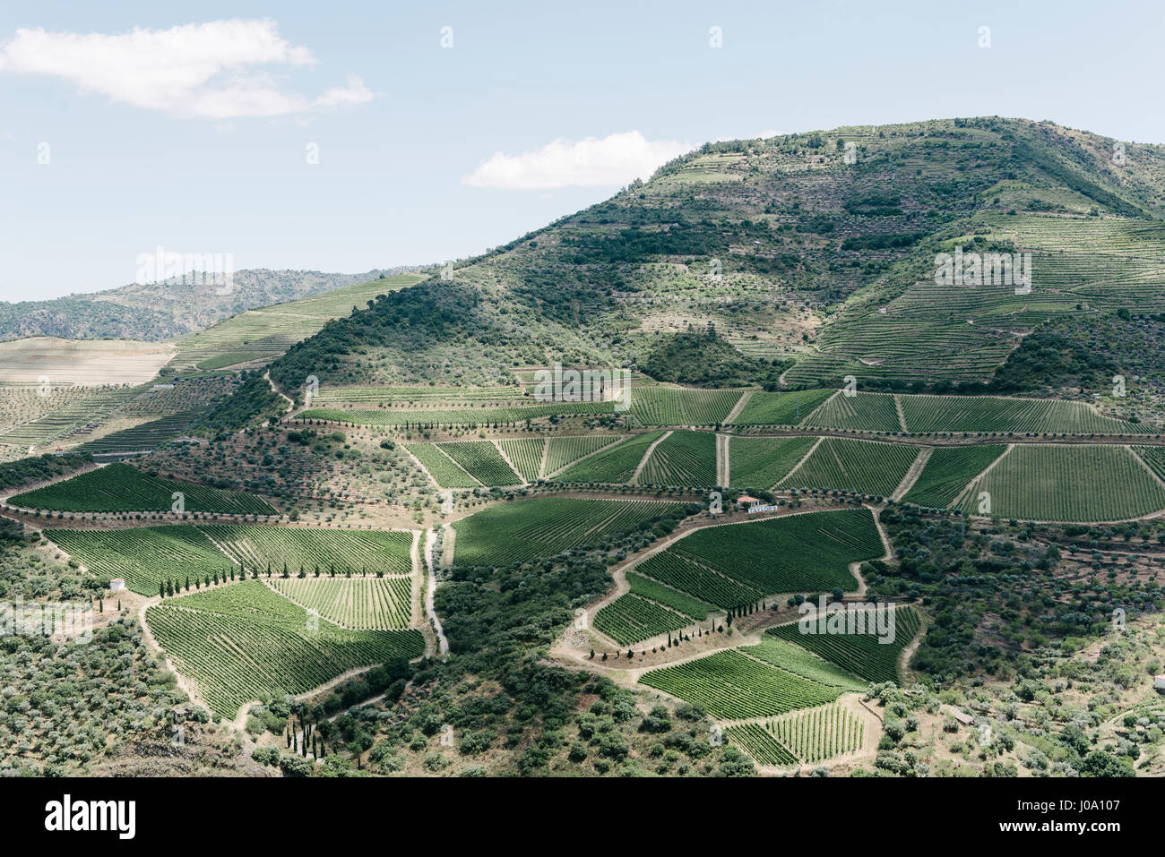 Douro river landscape in Beira Grande, Portugal Stock Photo - Alamy