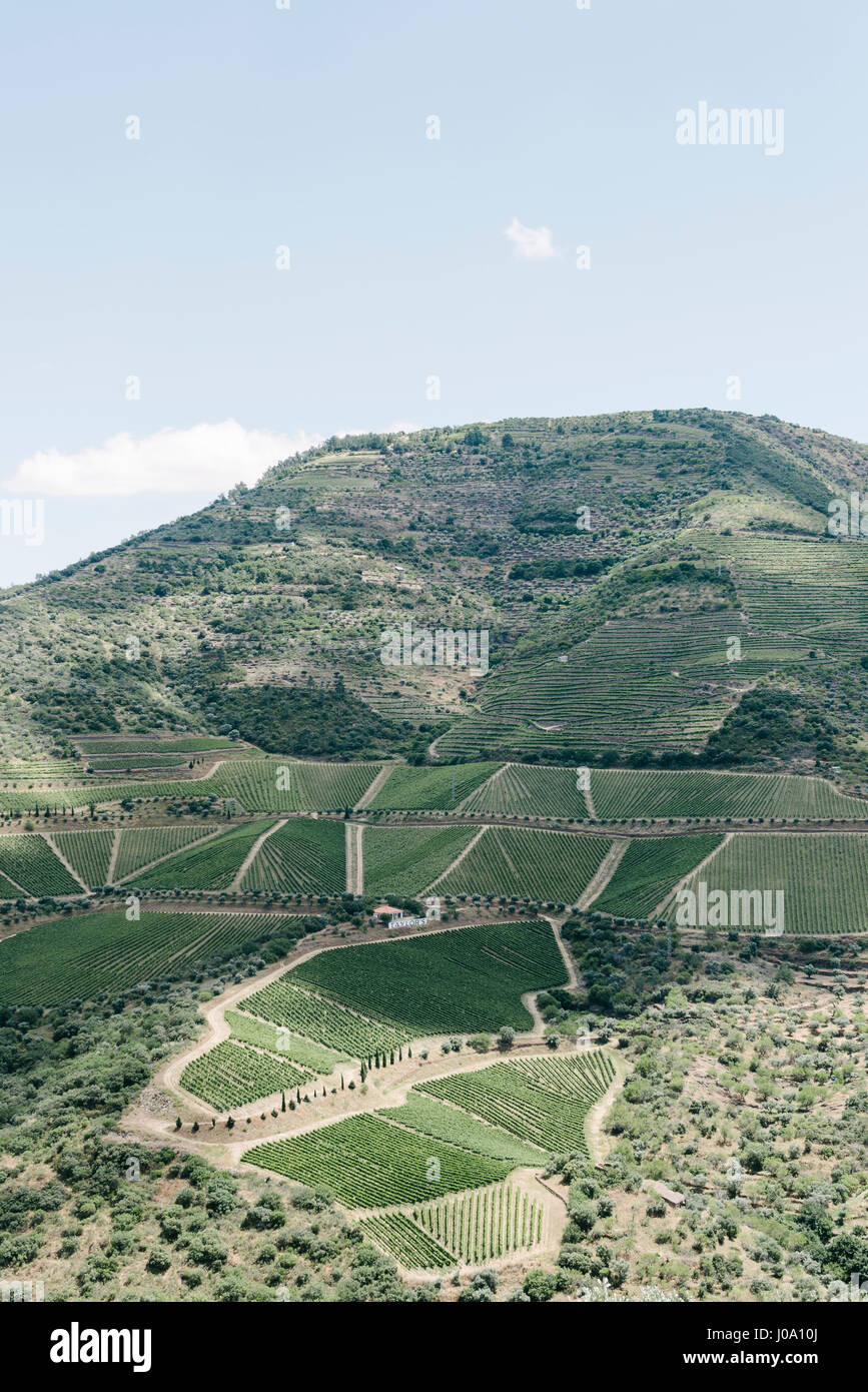 Douro river landscape in Beira Grande, Portugal Stock Photo - Alamy