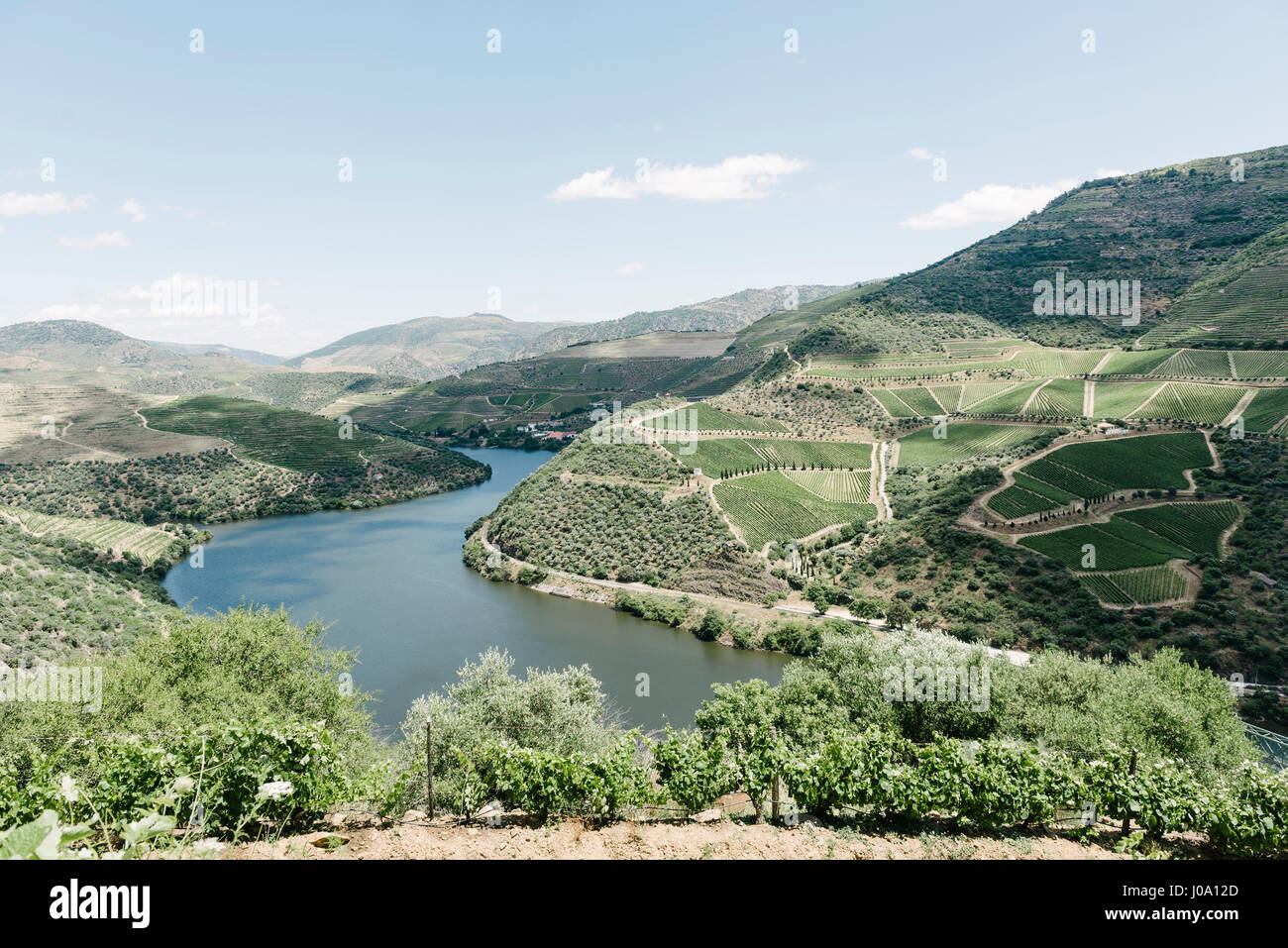 Douro river landscape in Beira Grande, Portugal Stock Photo - Alamy