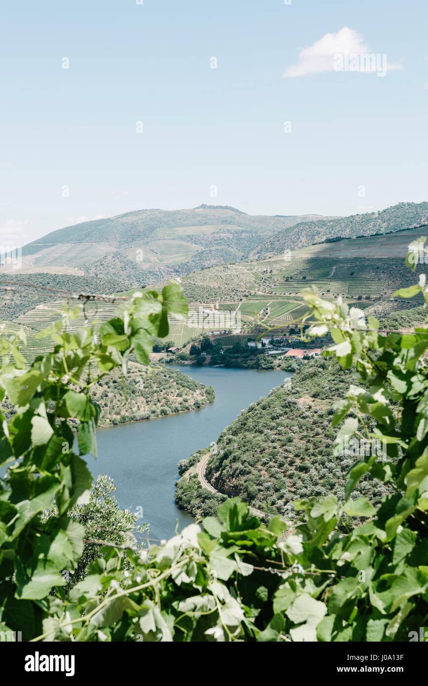 Douro river landscape in Beira Grande, Portugal Stock Photo - Alamy