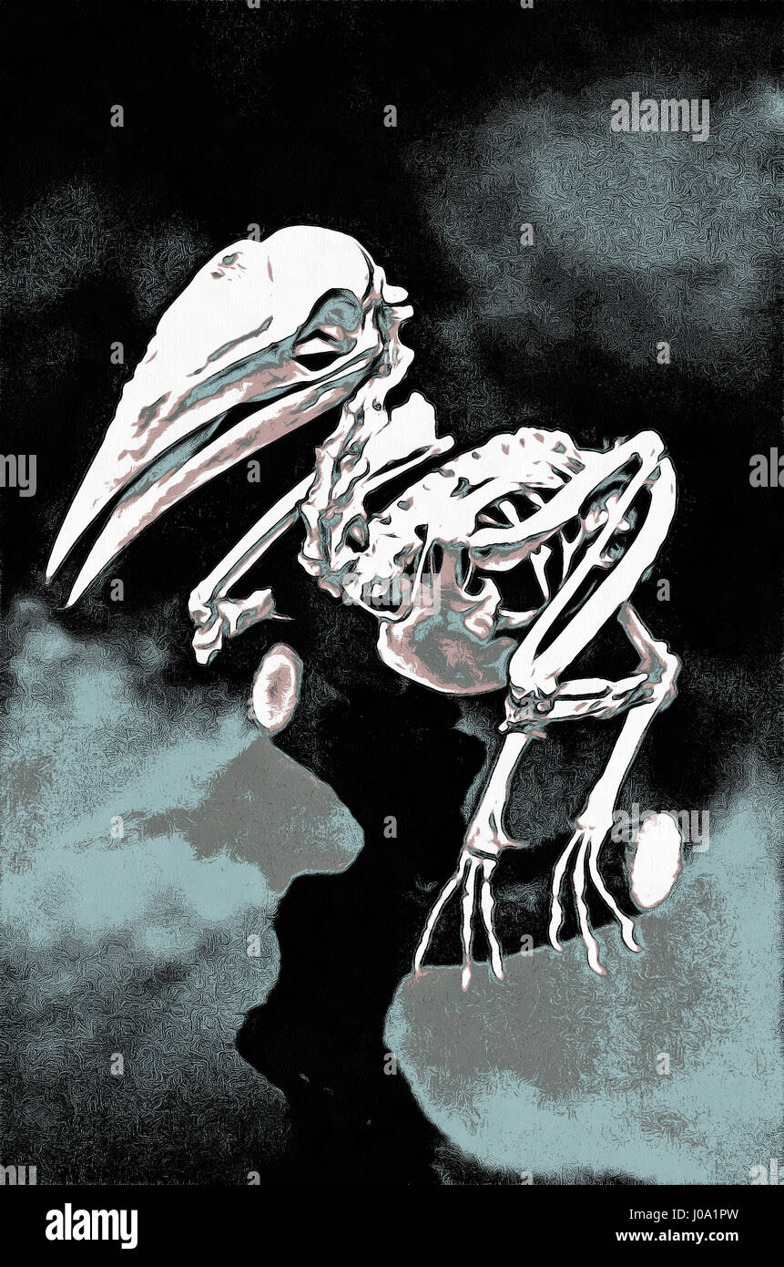 Bird skeleton images hi-res stock photography and images - Alamy