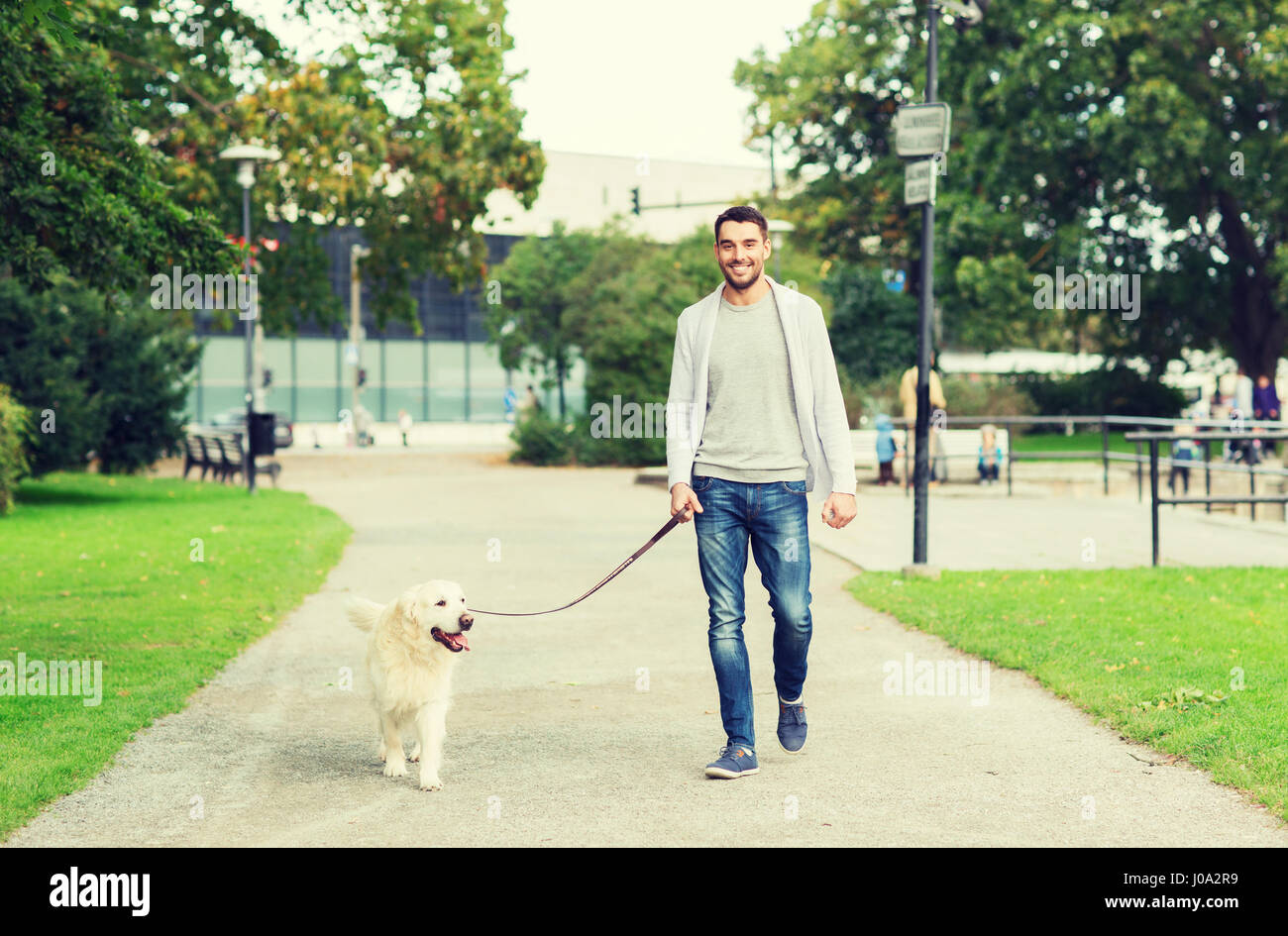 Golden labrador and man hi-res stock photography and images - Alamy