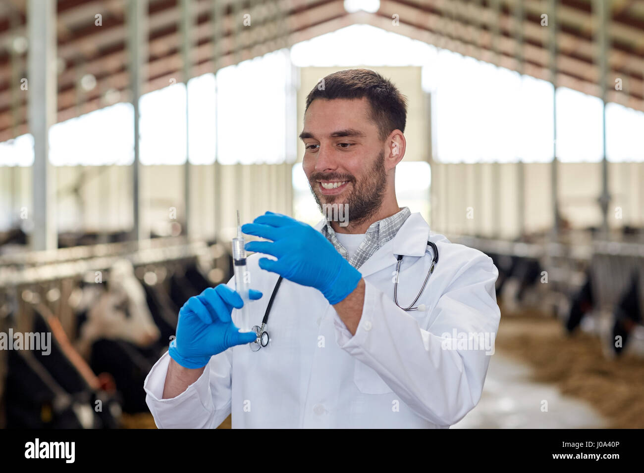 Vet injection cow hi-res stock photography and images - Alamy
