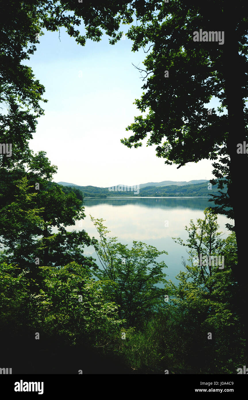 view to Laacher See lake with its trees. Still active volcan of eifel ...