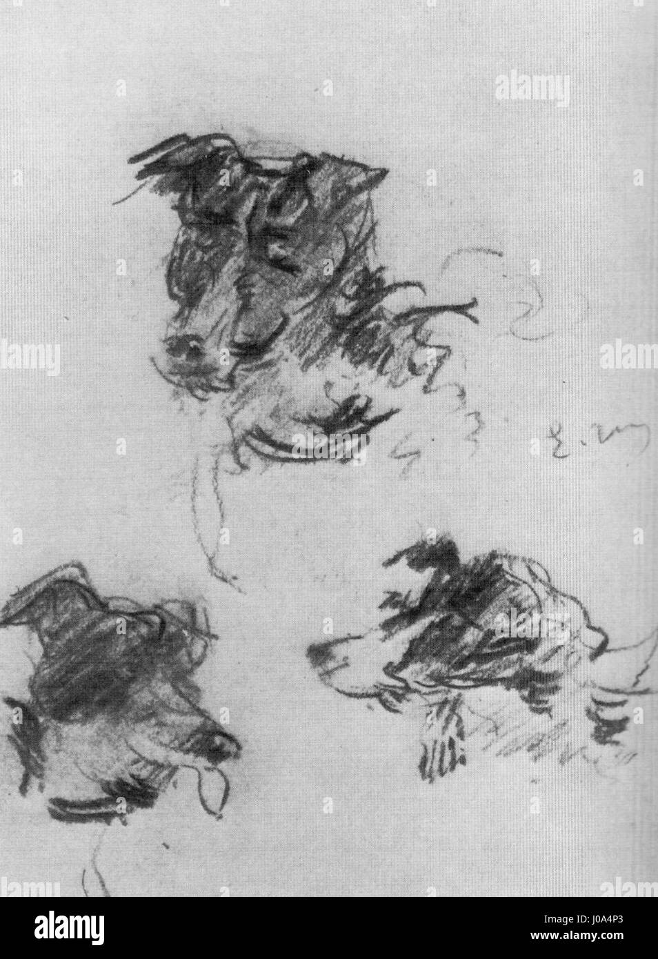 Édouard Manet’s 'Tête de chien' is a painting that depicts a dog’s head ...