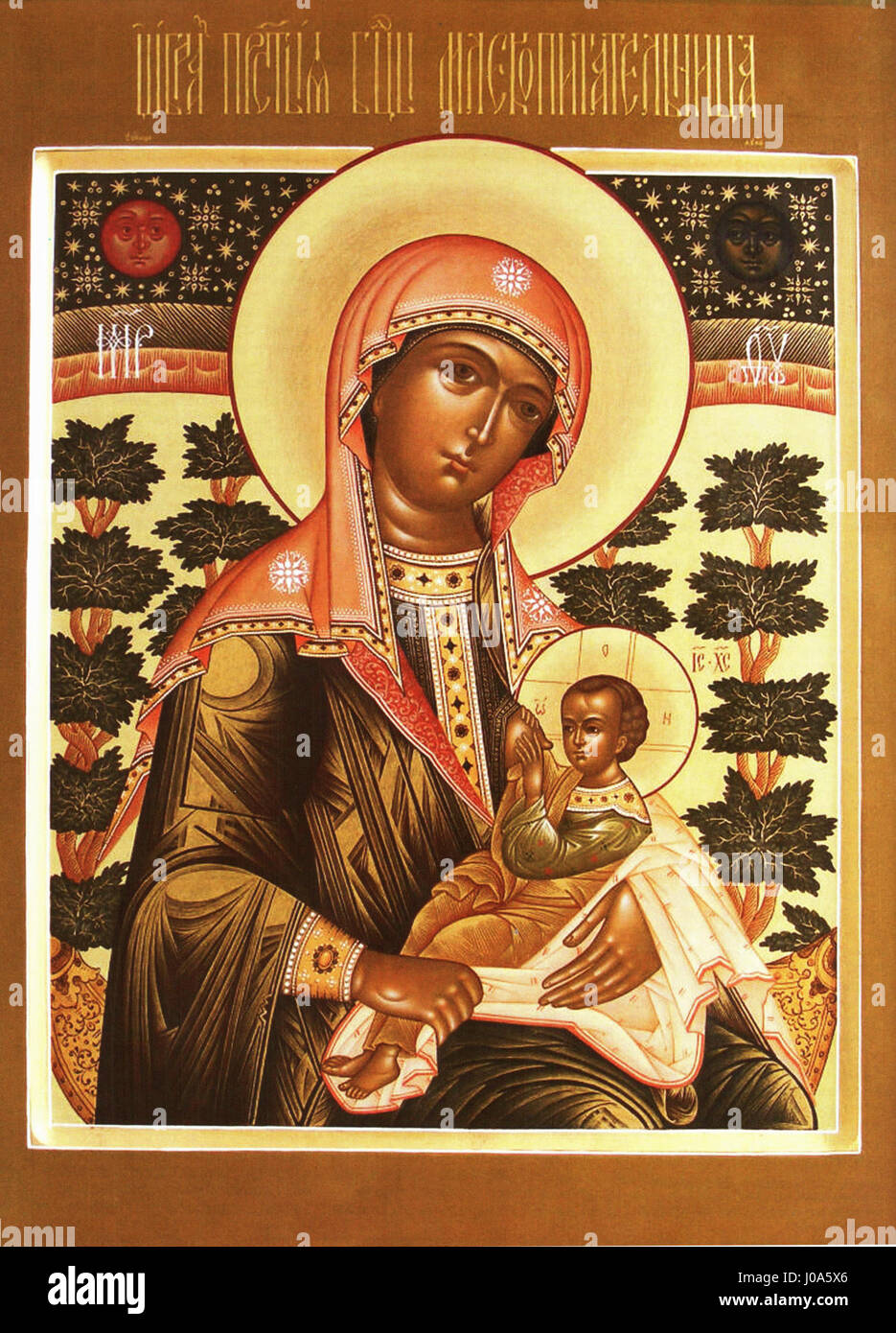 This String Of Characters Appears To Represent Cyrillic Or Non Latin Script Text Requiring