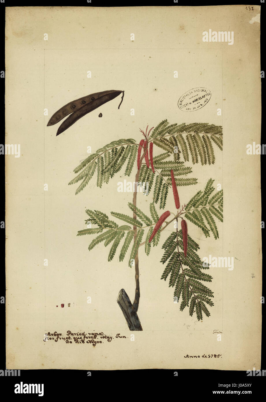 José Joaquim Freire’s 'Ação' from 1785 is a significant work of ...