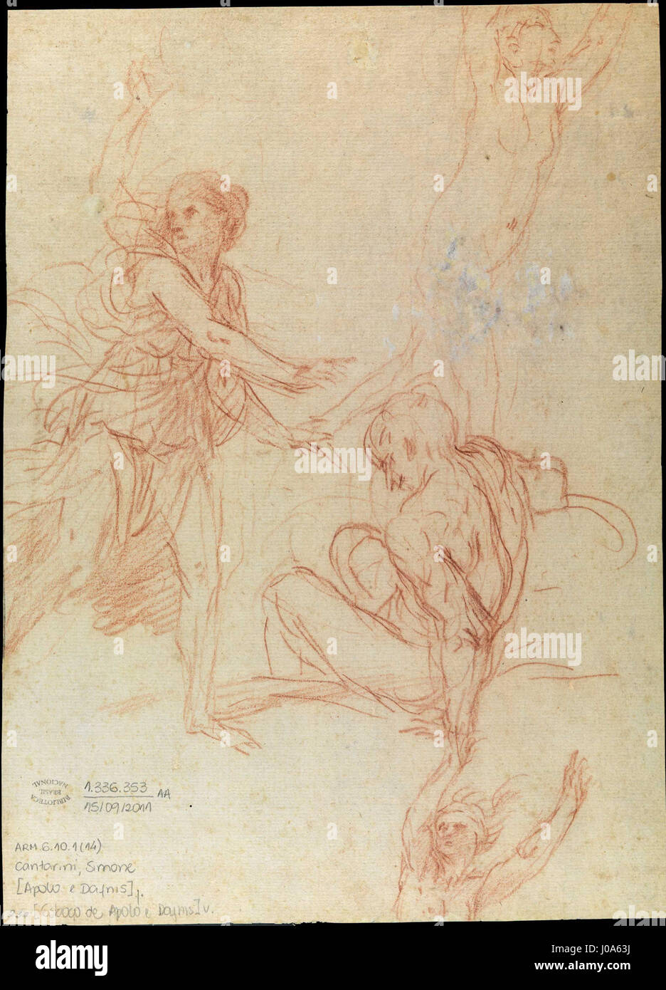 Simone Cantarini’s 'Esboço de Apolo e Dafne' illustrates the ...