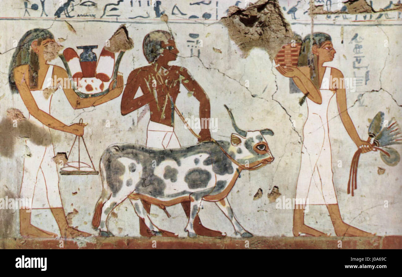 An artwork by the artist of the tomb of Amenemhat, depicting scenes ...