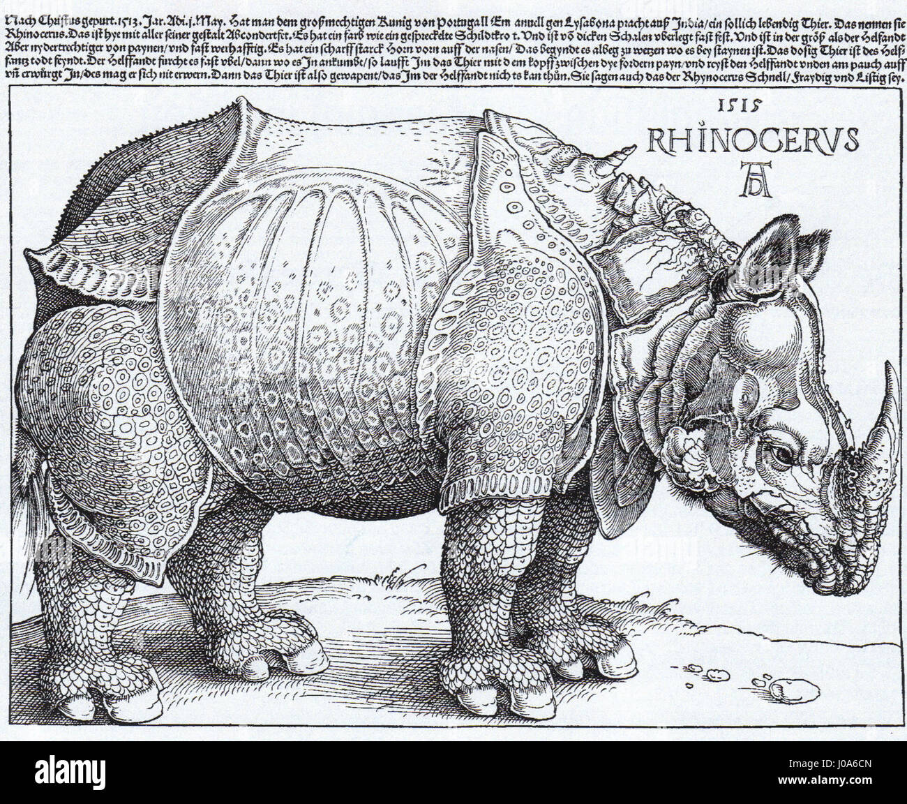 Albrecht Dürer’s famous 1515 woodcut of a rhinoceros is one of the ...