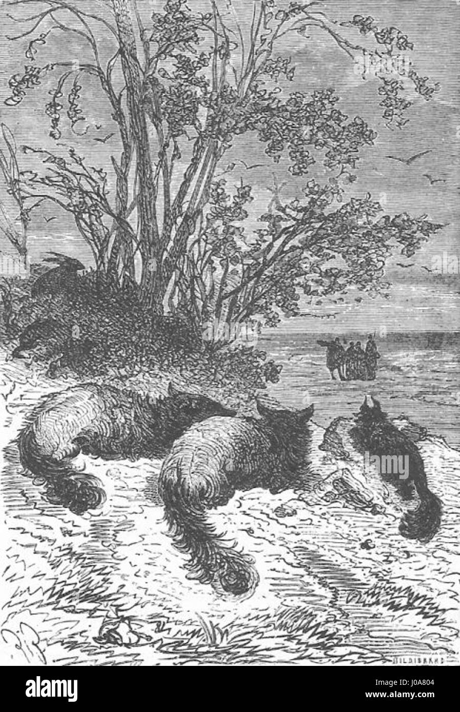 'The Fur Country' by Férat and Beaurepaire depicts the harsh and ...