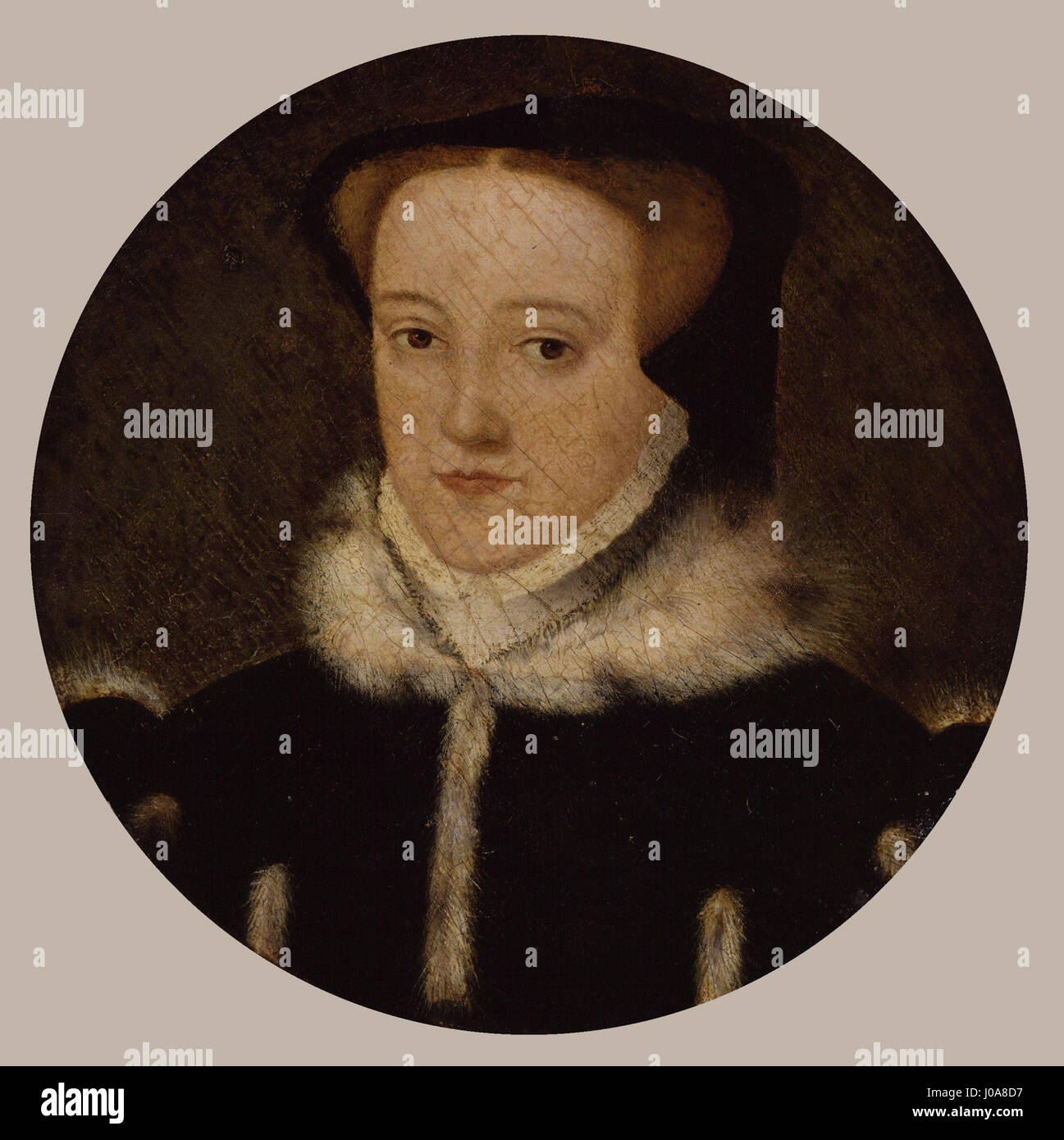 Lady jane dudley hi-res stock photography and images - Alamy