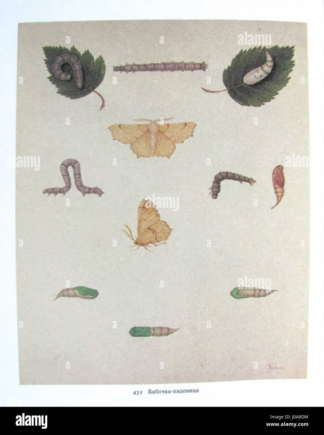 'День свободи. Народ в боротьбі' ('Day of Freedom. People in Struggle ...