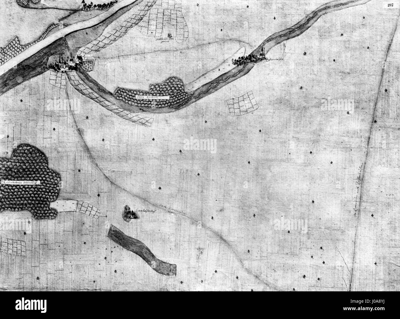 ‘Kiesersche Forstkarte Nr. 237 Mühlhausen’ is a detailed forestry map ...