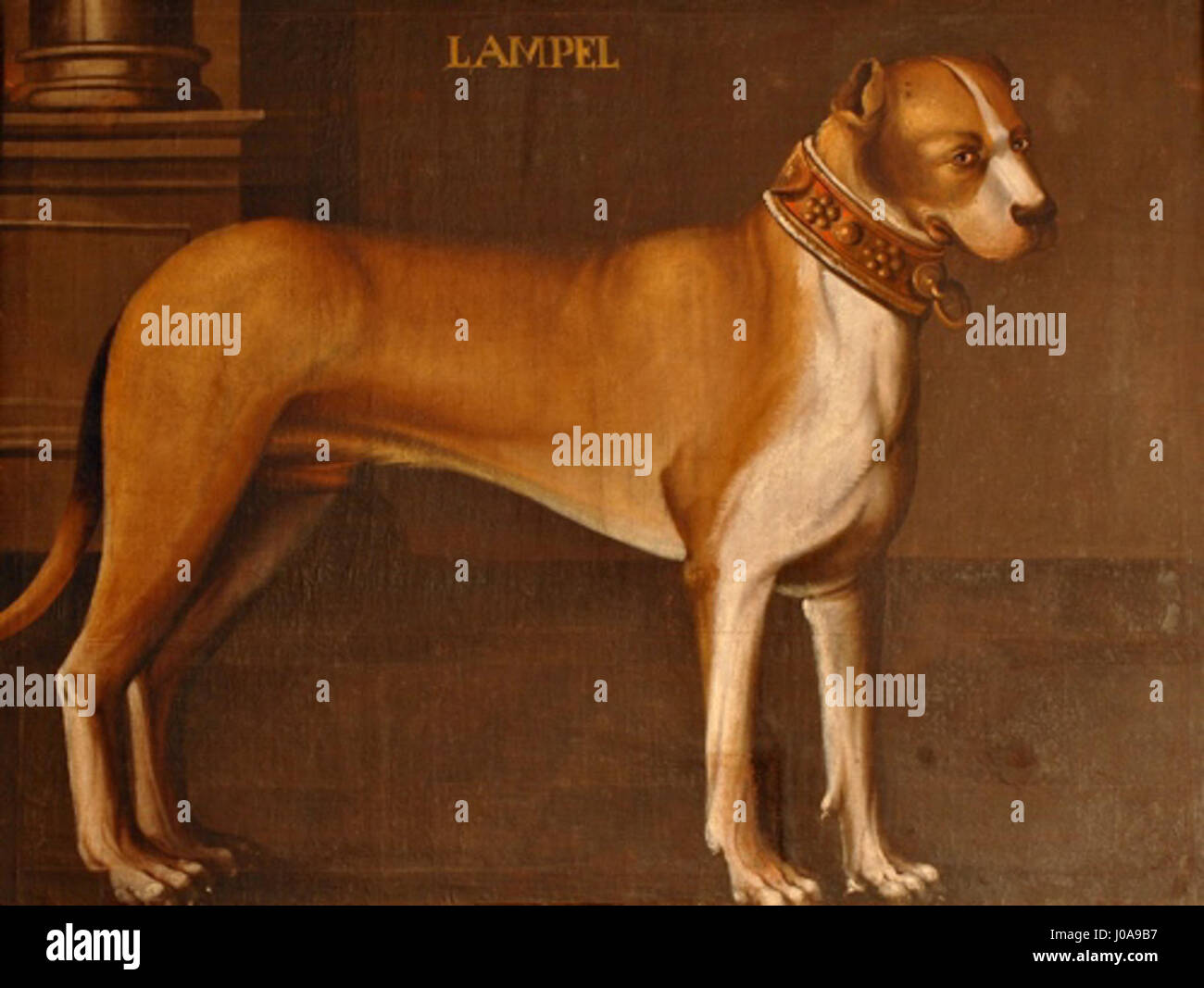 A portrait of Esterházy Lampel by Leibhund, showcasing the noble figure ...