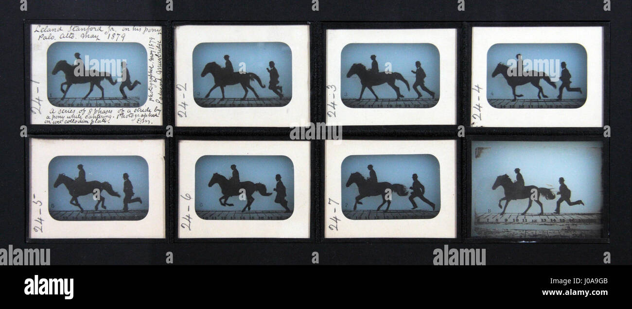 Eadweard Muybridge’s famous photographic study 'Leland Stanford Jr. on ...