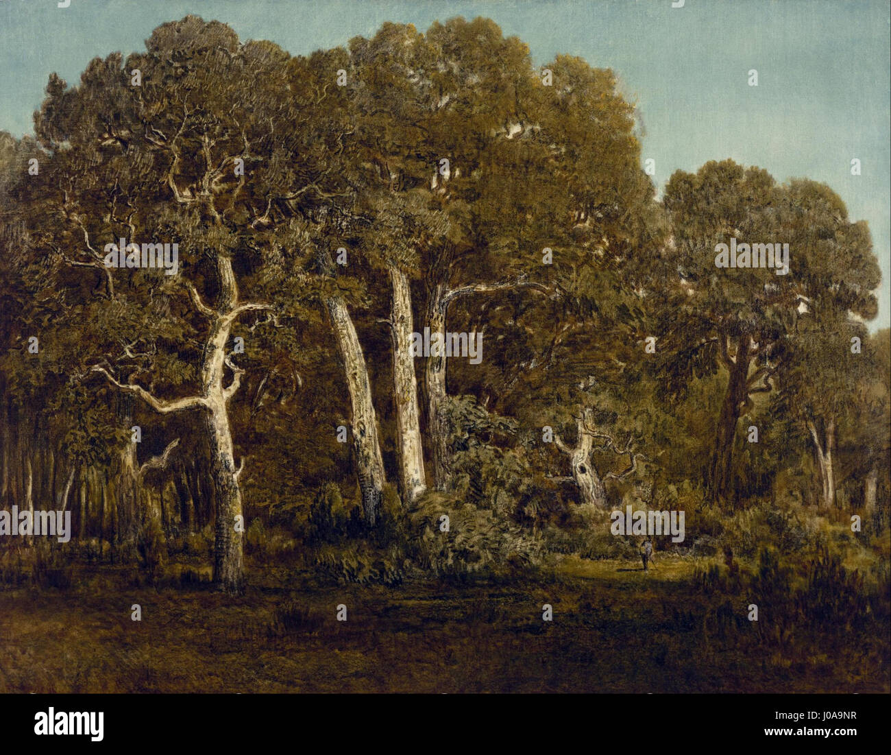 'The Great Oaks of Old Bas-Breau' by Théodore Rousseau captures a ...