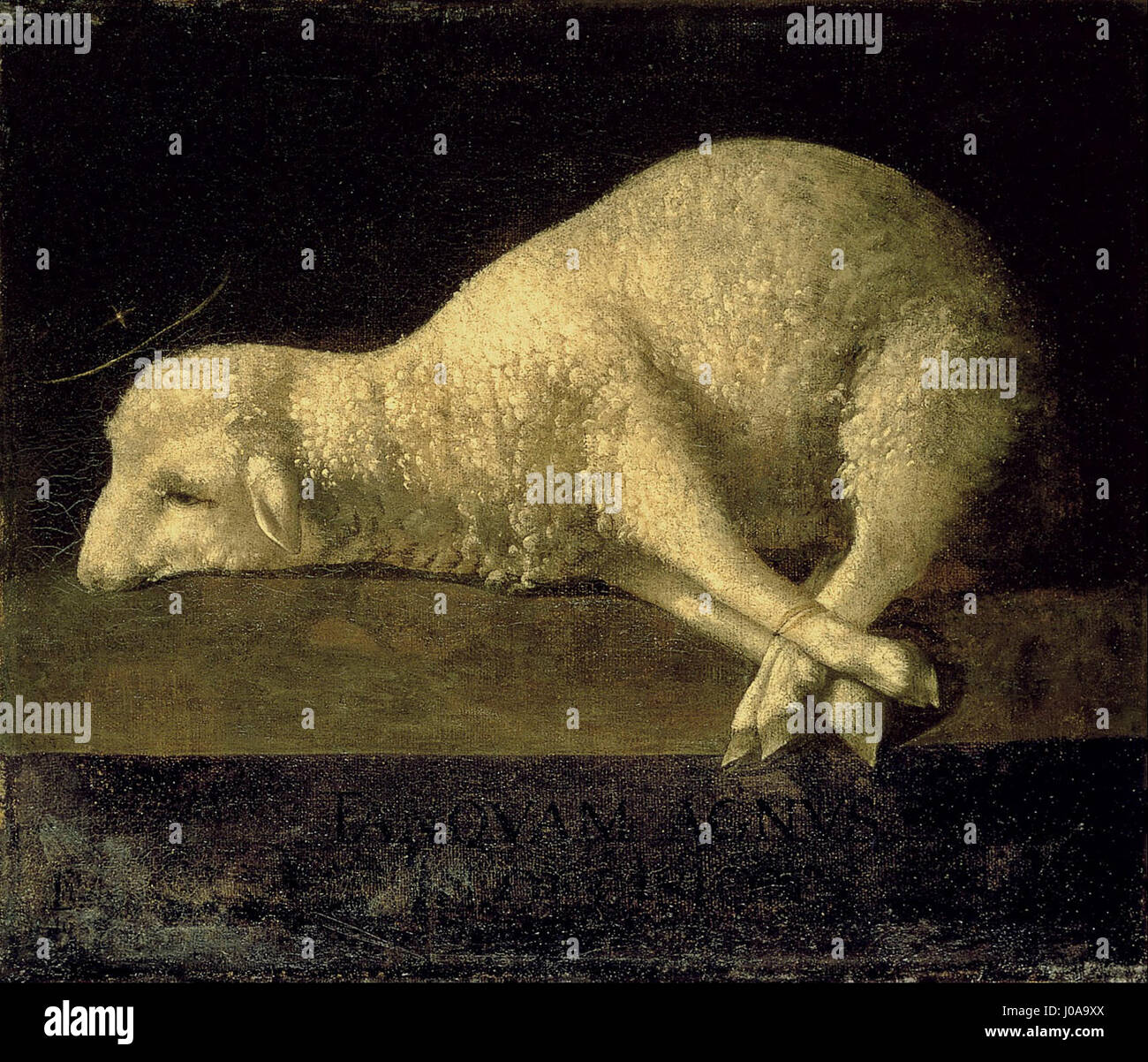 Agnus dei the lamb of god hi-res stock photography and images - Alamy
