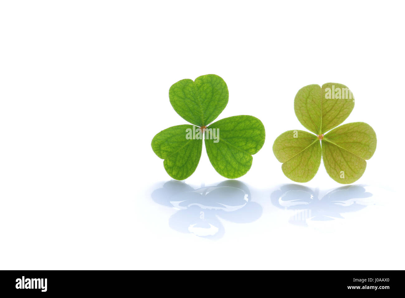 Rain drop shape Cut Out Stock Images & Pictures - Alamy