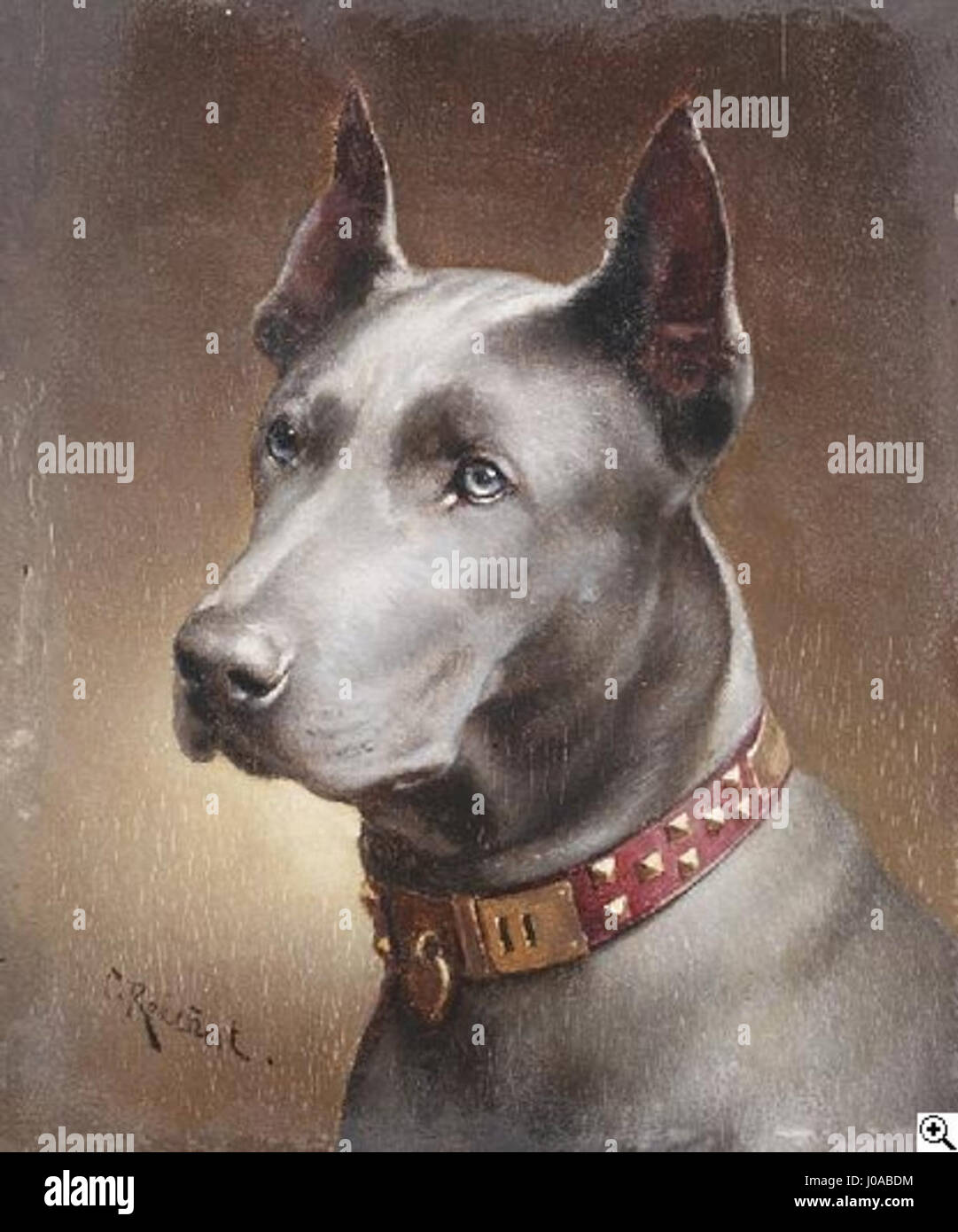 'Porträt einer Dogge' by C. Reichert is a detailed 19th-century ...