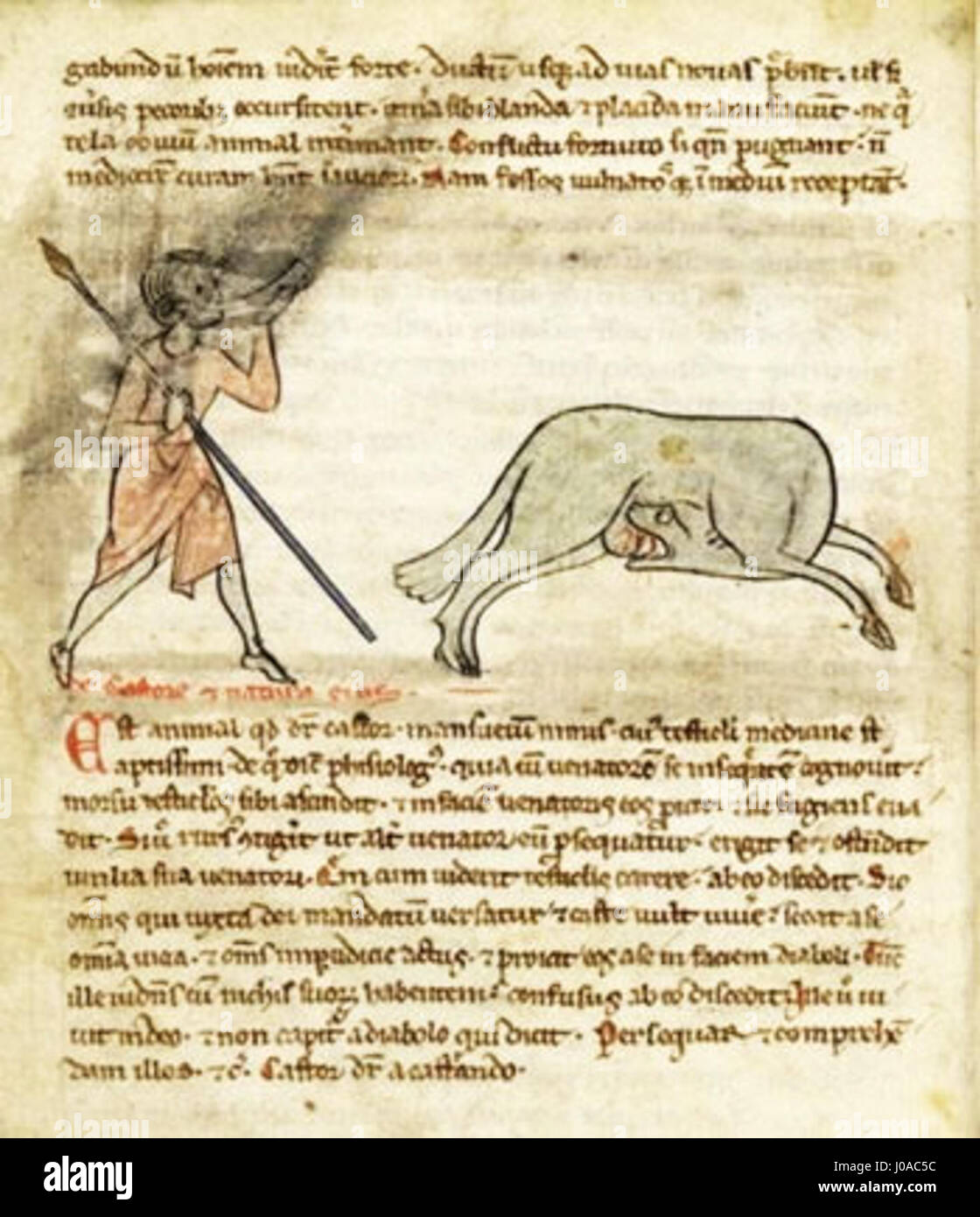 'Castor' refers to the classical myth of Castor and Pollux, twin ...