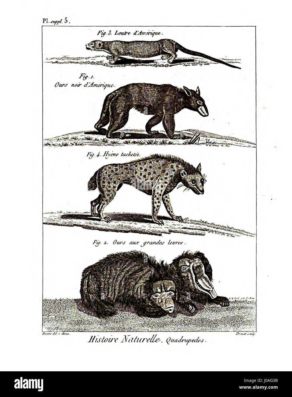 Comprehensive knowledge Cut Out Stock Images & Pictures - Alamy