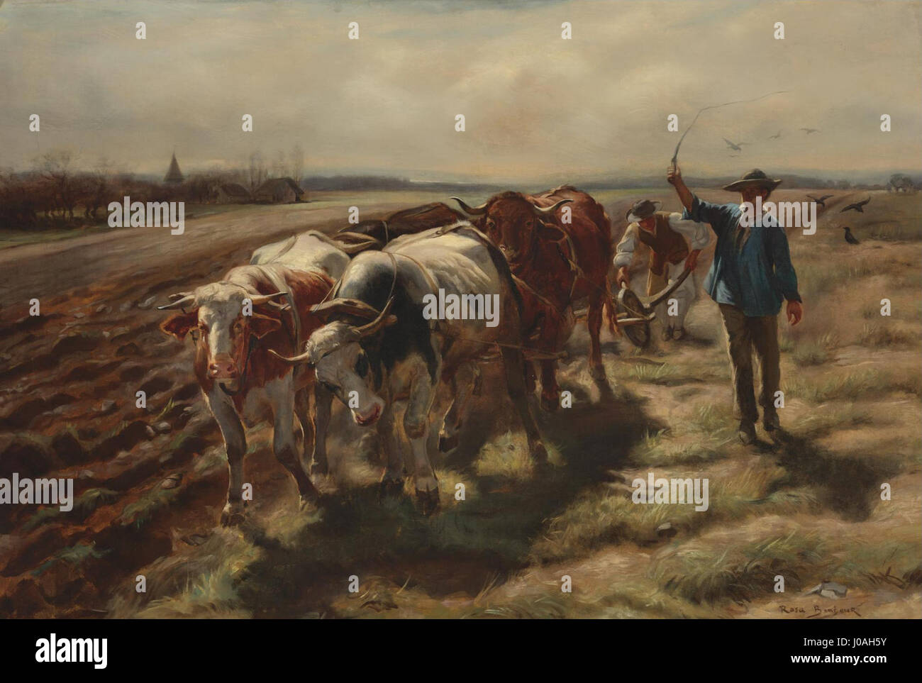 Charrue hi-res stock photography and images - Alamy