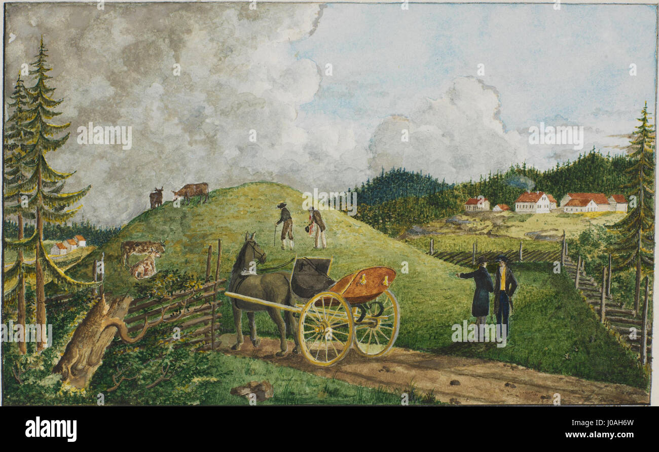 'Halfdan Svartes Høj' is a burial mound in Ringeriget, Denmark ...