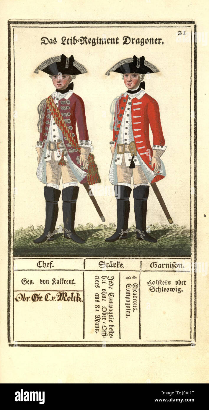 This image depicts the entire Royal Danish Army during a presentation ...