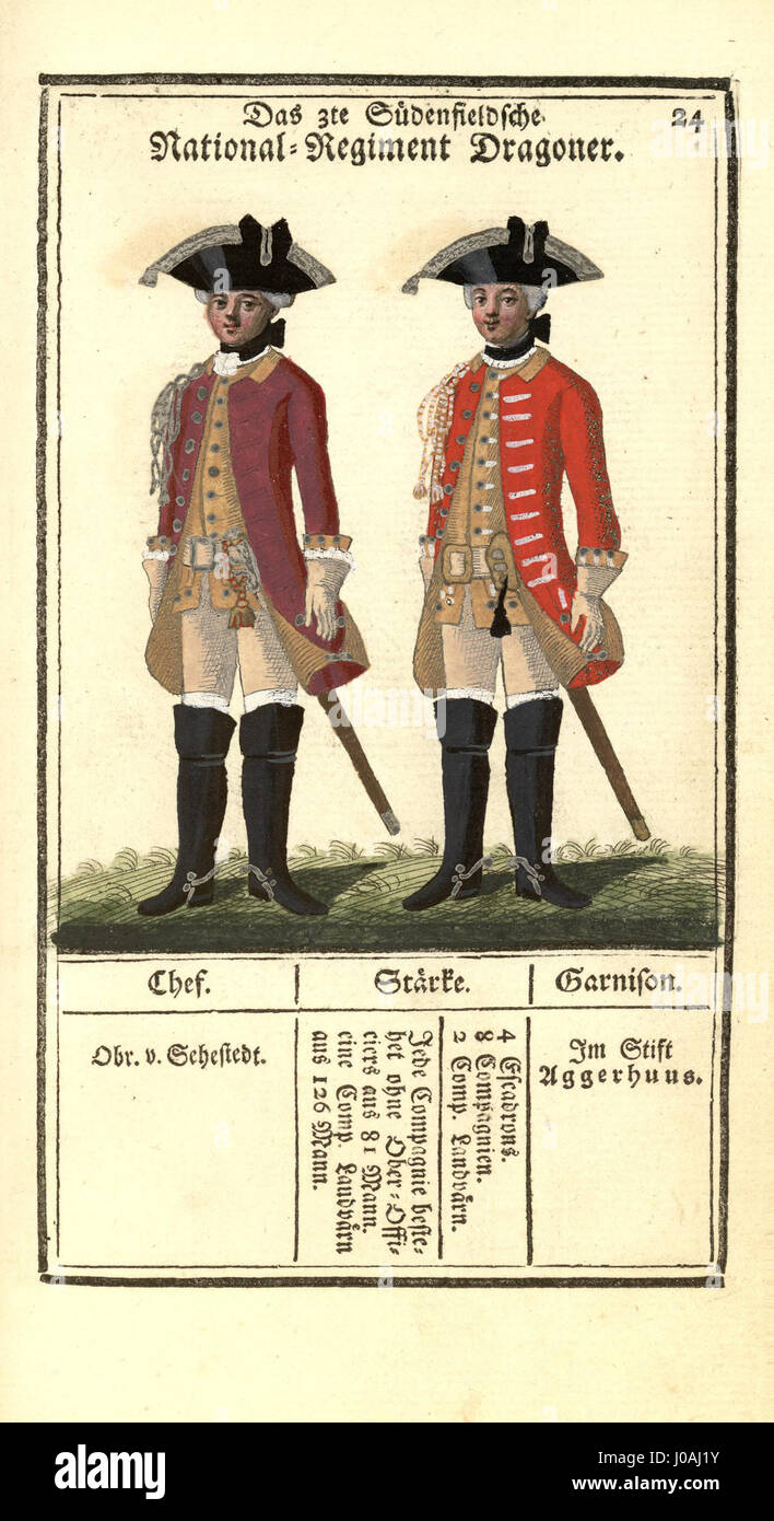 'Vorstellung der sämtlichen Königlich Dänischen Armee' depicts the ...