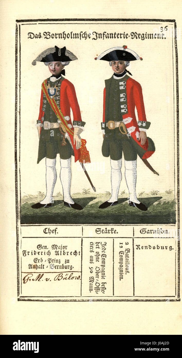This document presents a depiction of the entire Danish Royal Army ...