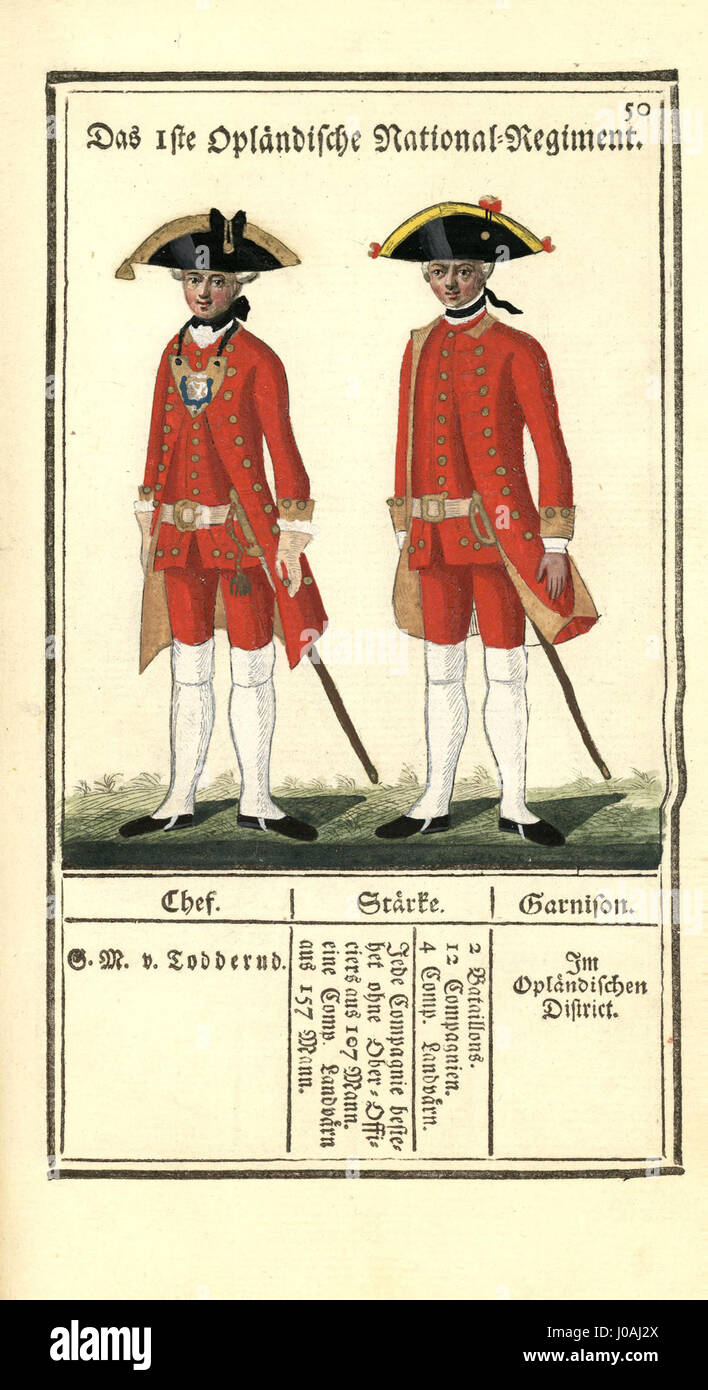 This image depicts the representation of the entire Danish royal army ...