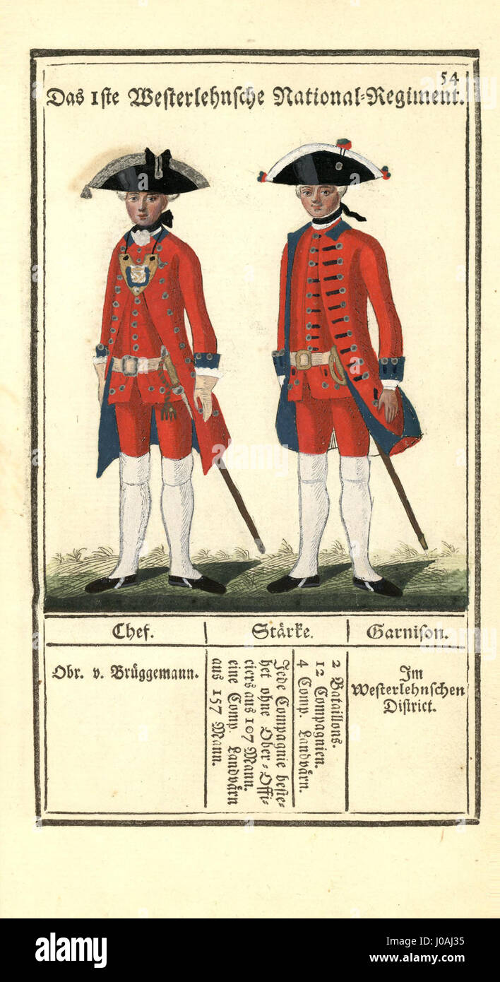 This historical piece illustrates the presentation of the Danish Royal ...