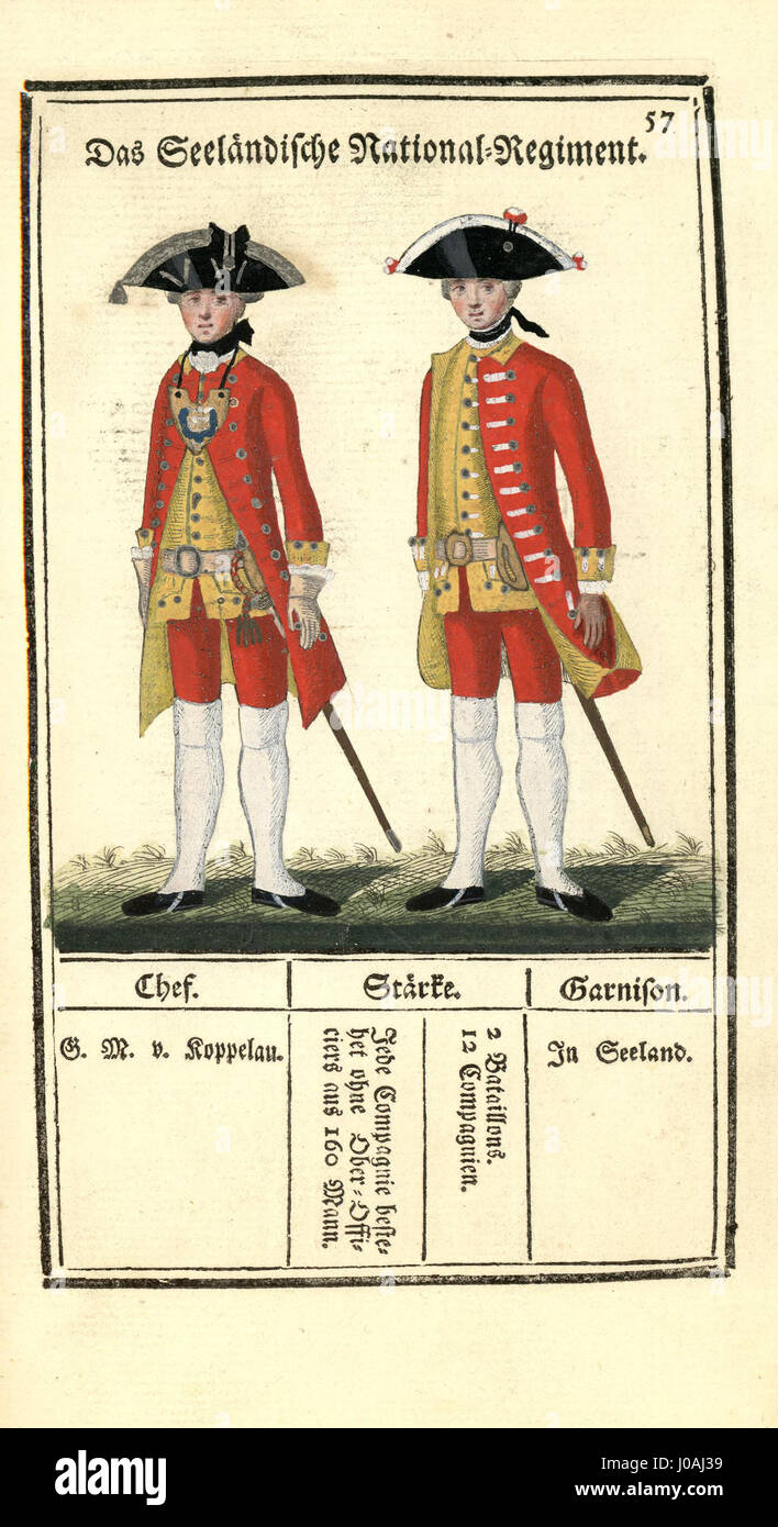 This historical illustration shows the entire Danish royal army ...