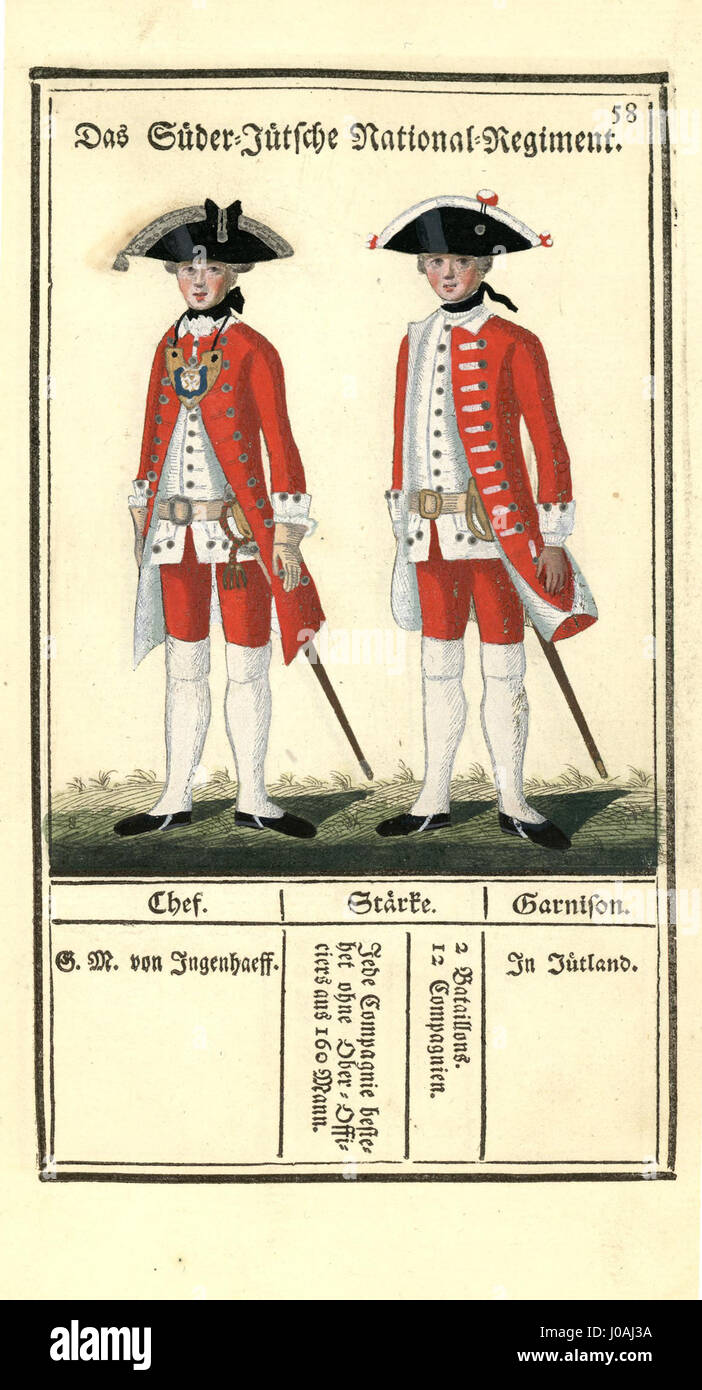 This historical piece depicts the entire Danish royal army, showcasing ...