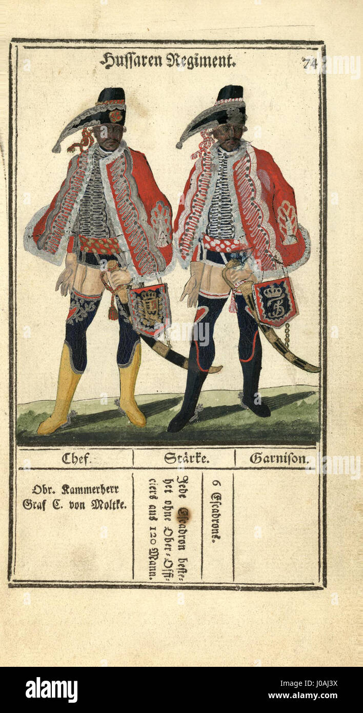 'Vorstellung der sämtlichen Königlich Dänischen Armee' depicts the ...
