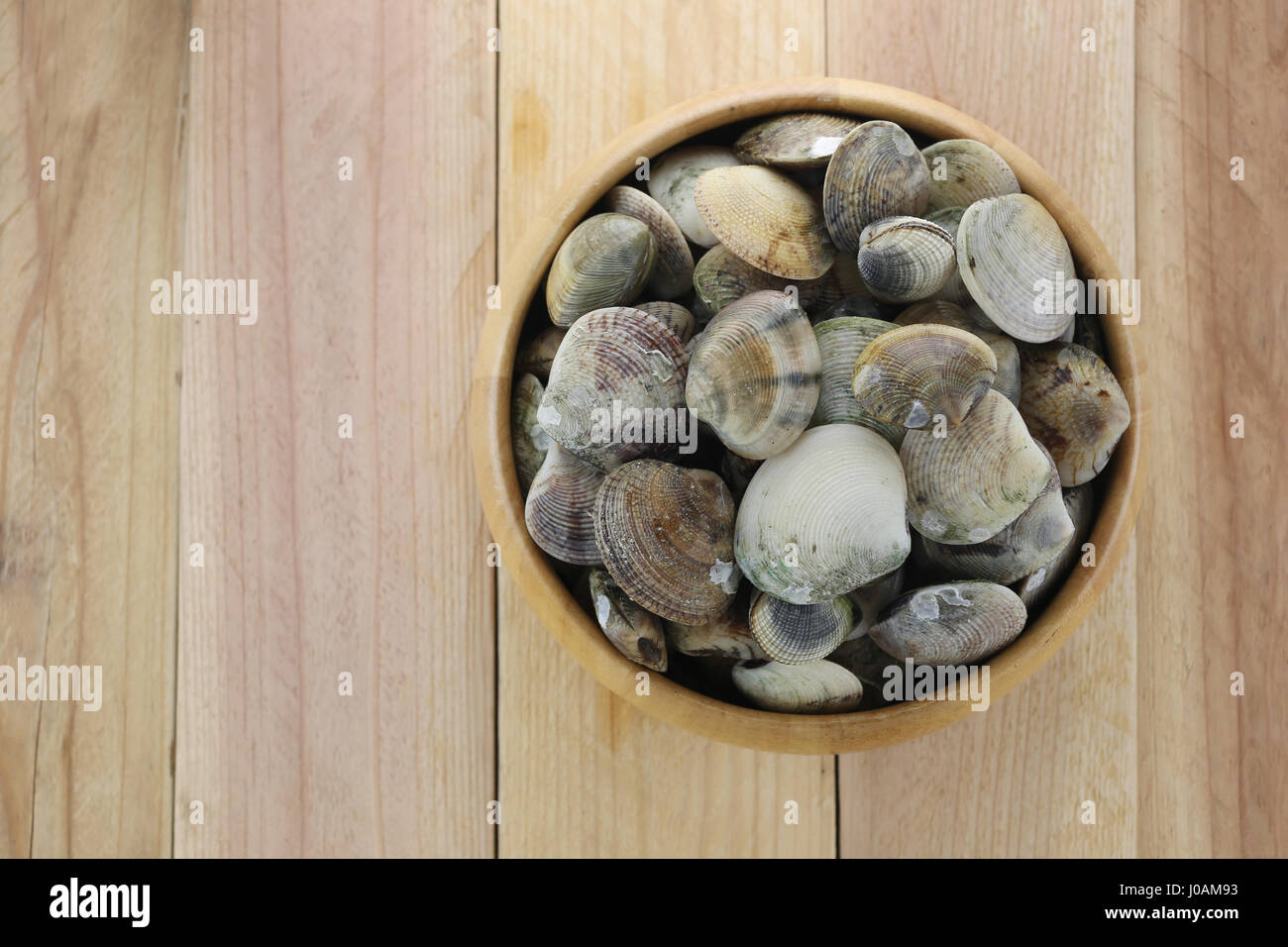 animal sea of RIDGED VENUS CLAM in wood dish for ingredients cooking in ...