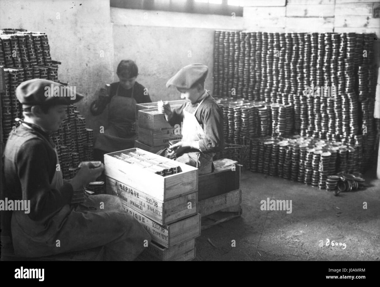 Photograph showing children packing sardine cans, highlighting child ...