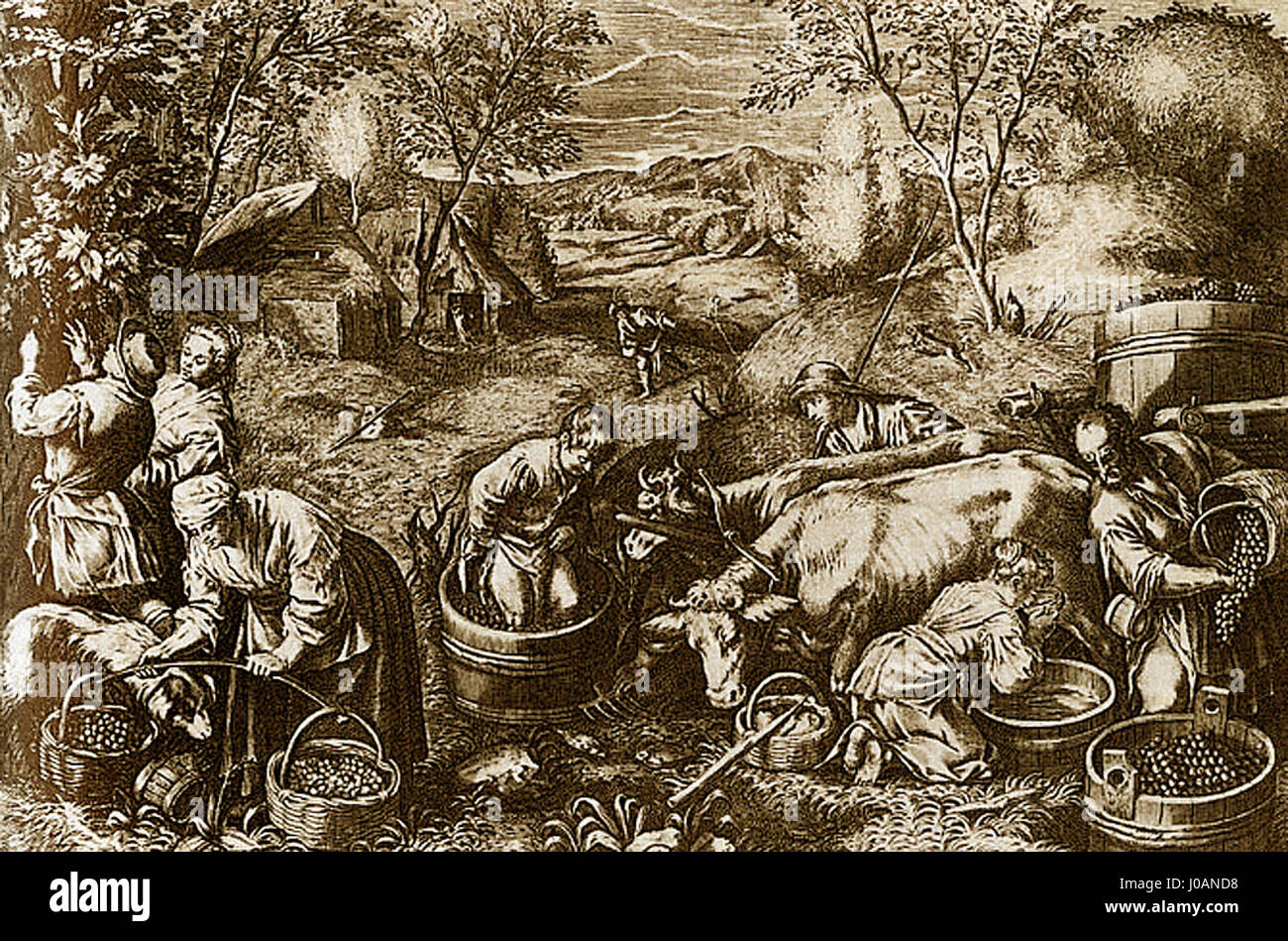 'Vendanges de vignes accrochées aux arbres' by Jacques Callot depicts ...