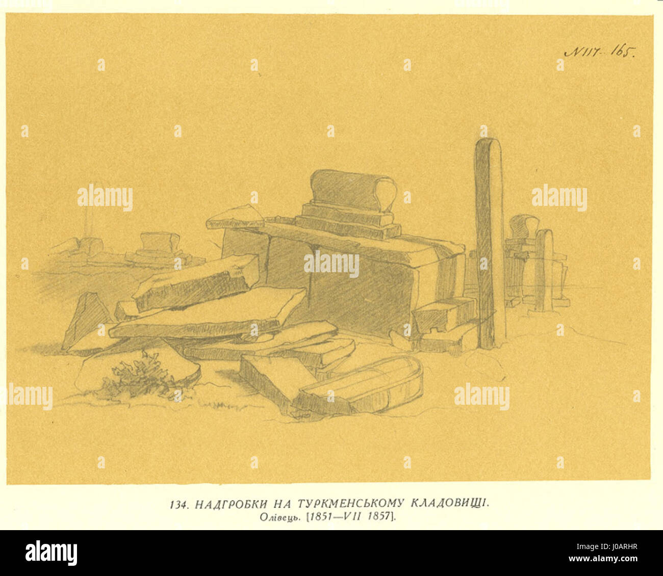 Work explores development evolution hi-res stock photography and images - Alamy