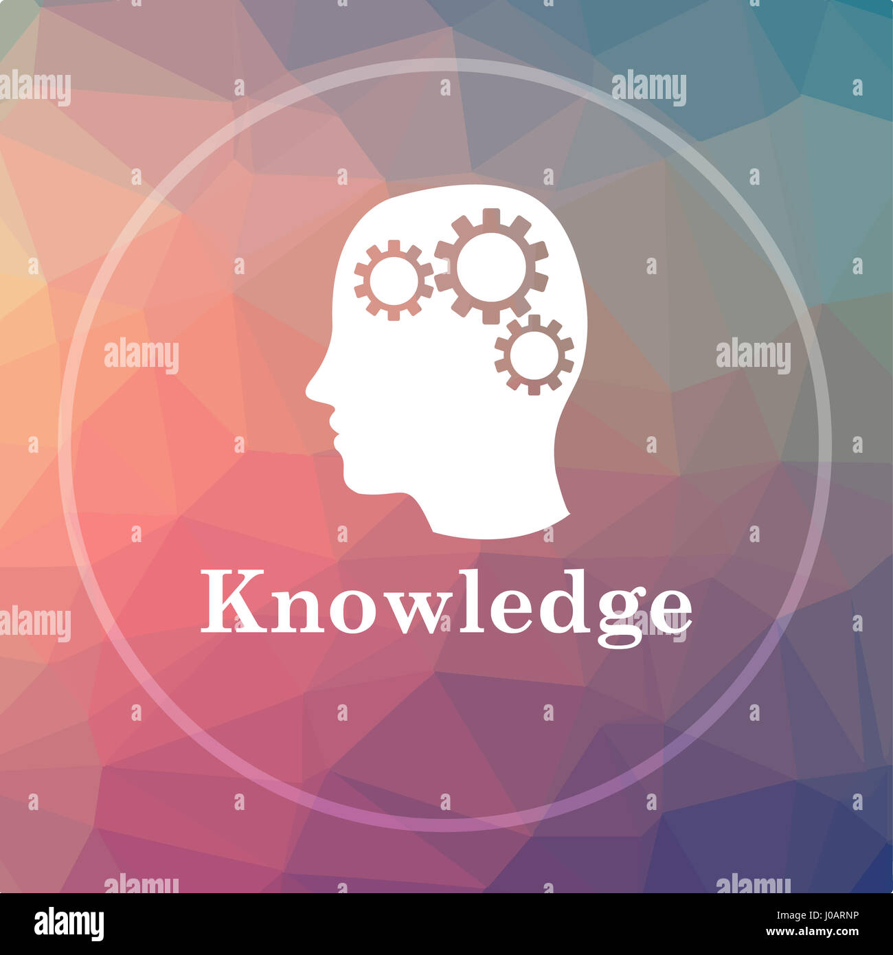 Knowledge icon. Knowledge website button on low poly background Stock ...