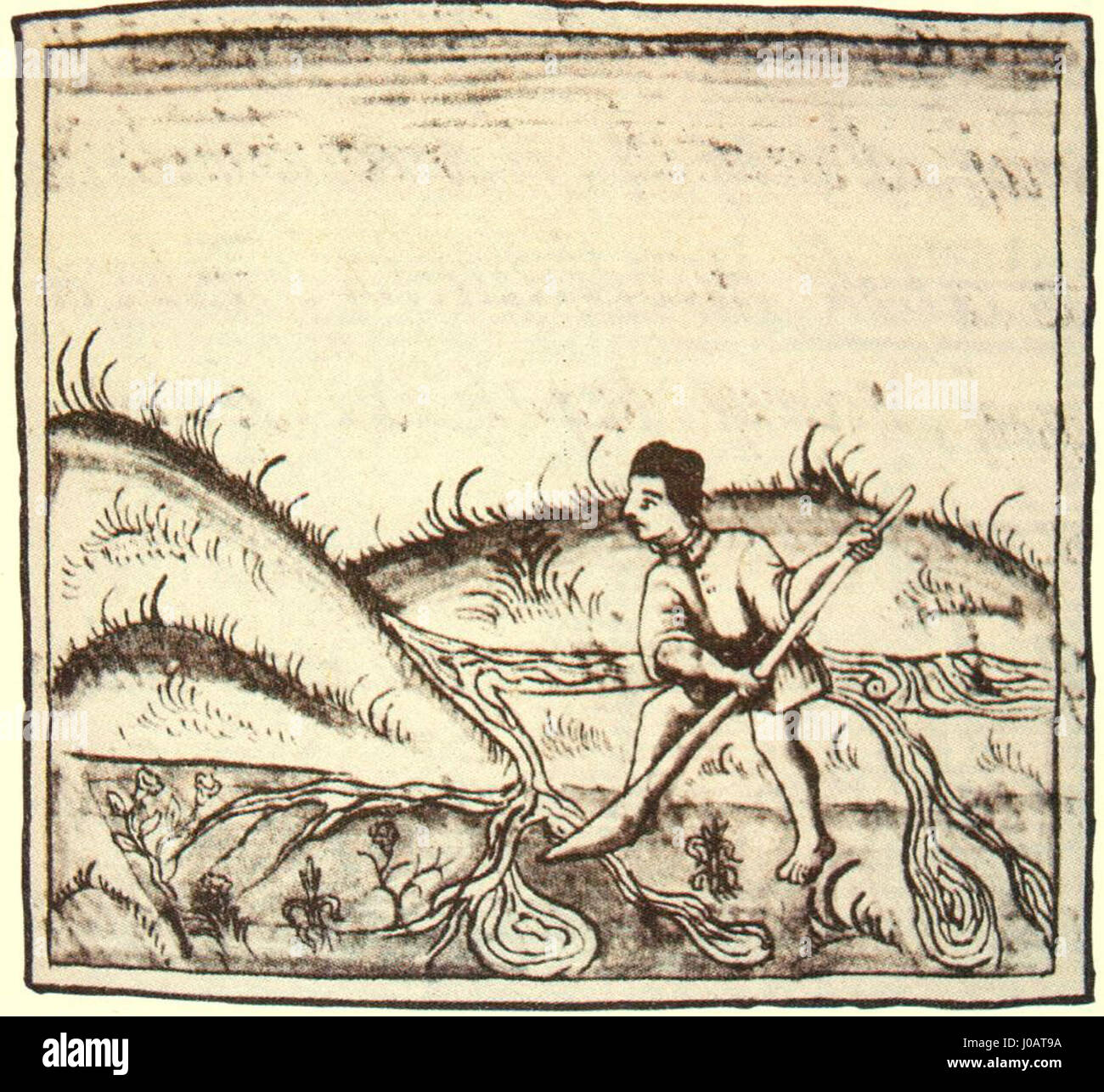 Ancient aztec farming hi-res stock photography and images - Alamy