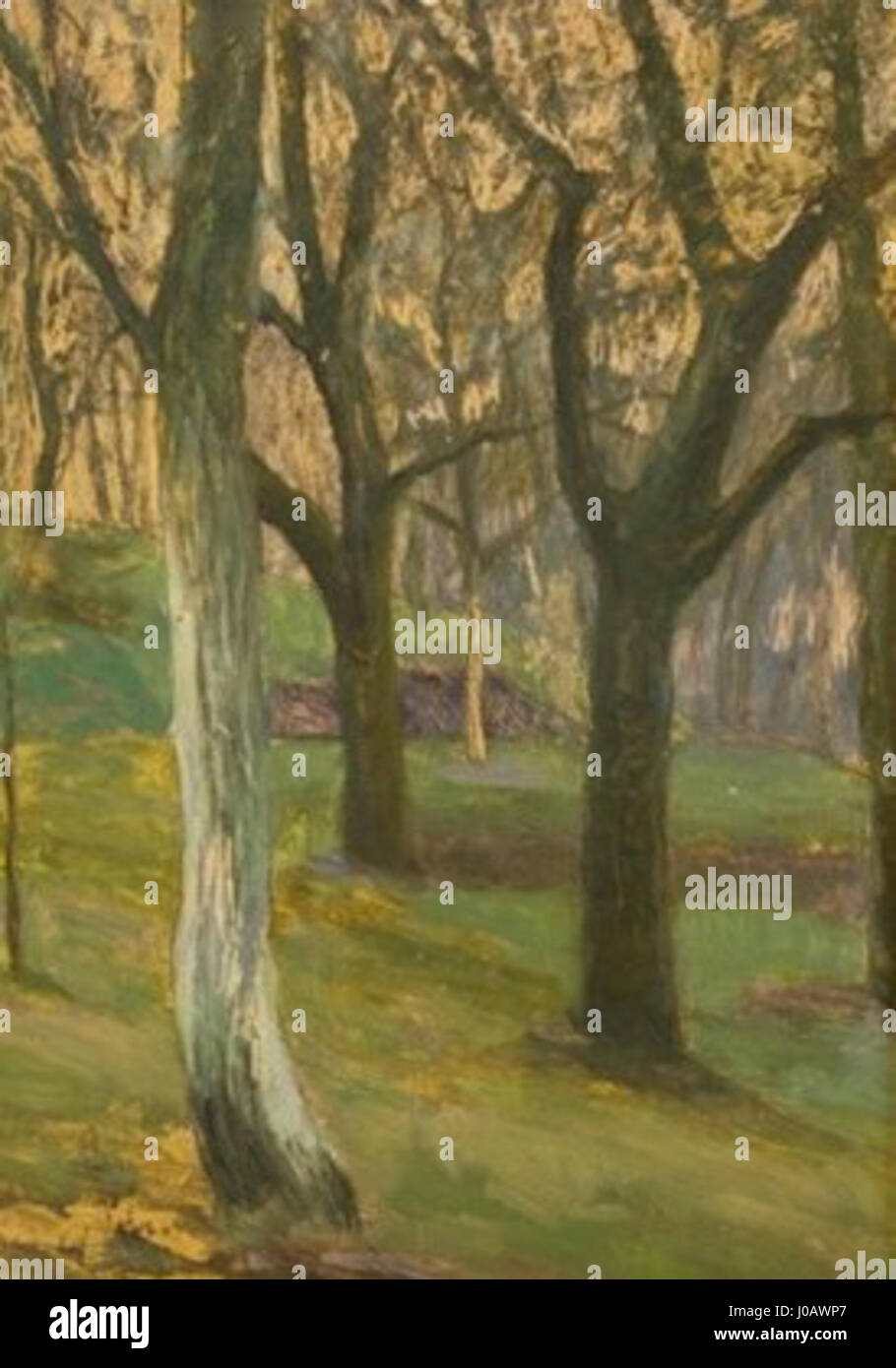 Dappled forest scene in hi-res stock photography and images - Alamy